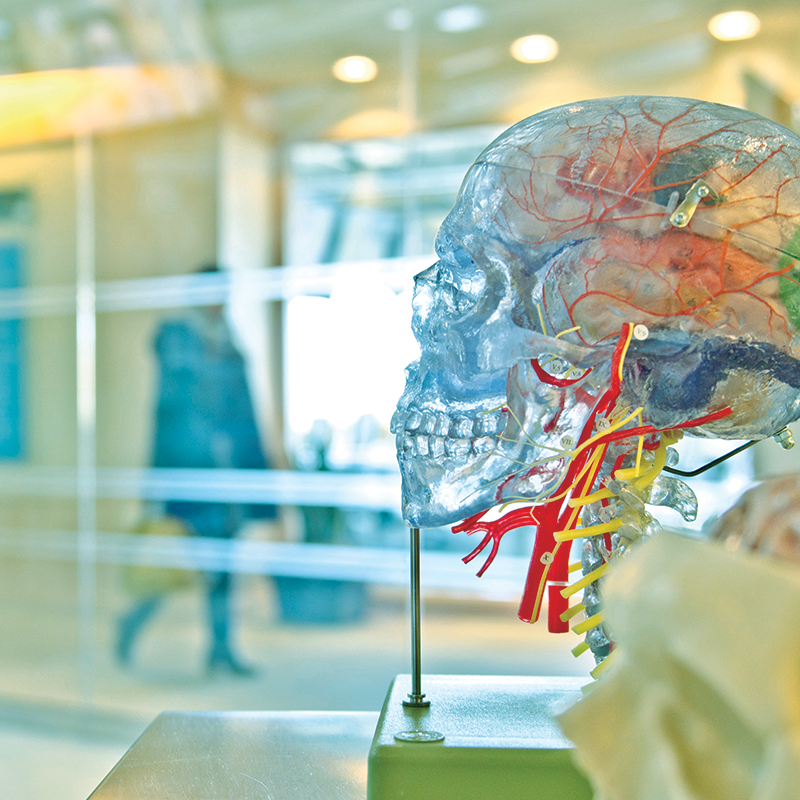 Patrick Hill | Arts & Sciences